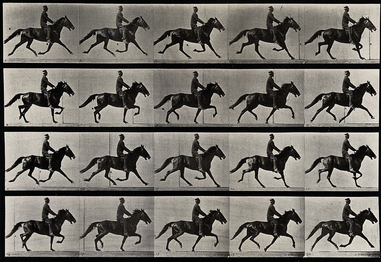 Eadweard Muybridge: Human and Animal Locomotion, with a Live Score by ...