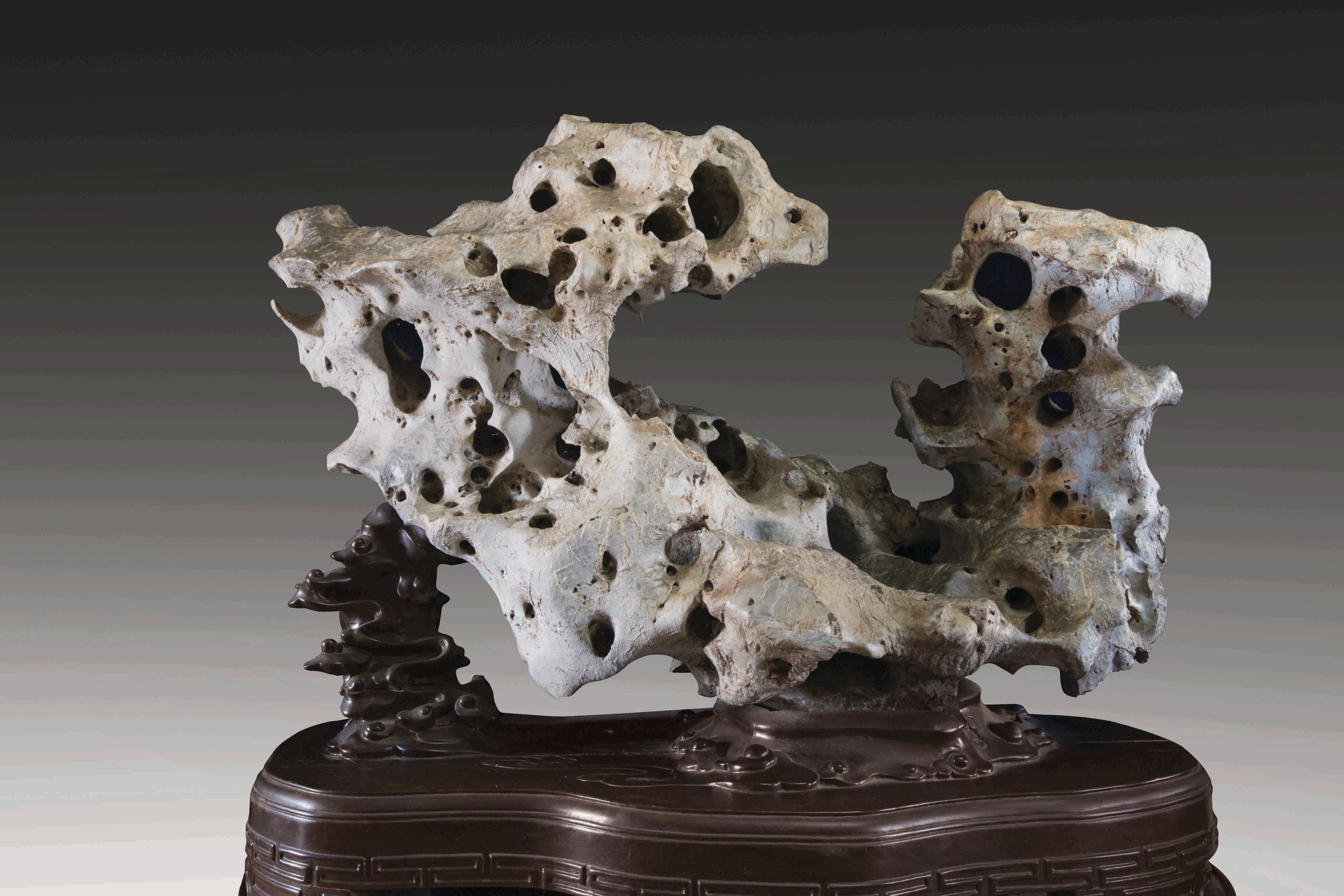 New Acquisition: Taihu Stone | Unframed