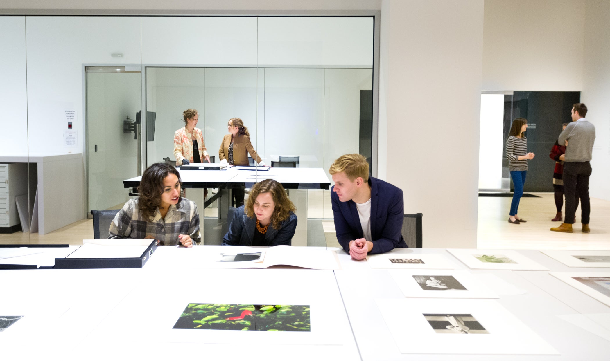Grand Opening: LACMA Study Center for Photography and Works on Paper ...