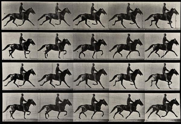 Eadweard Muybridge: Human and Animal Locomotion, with a Live Score by ...