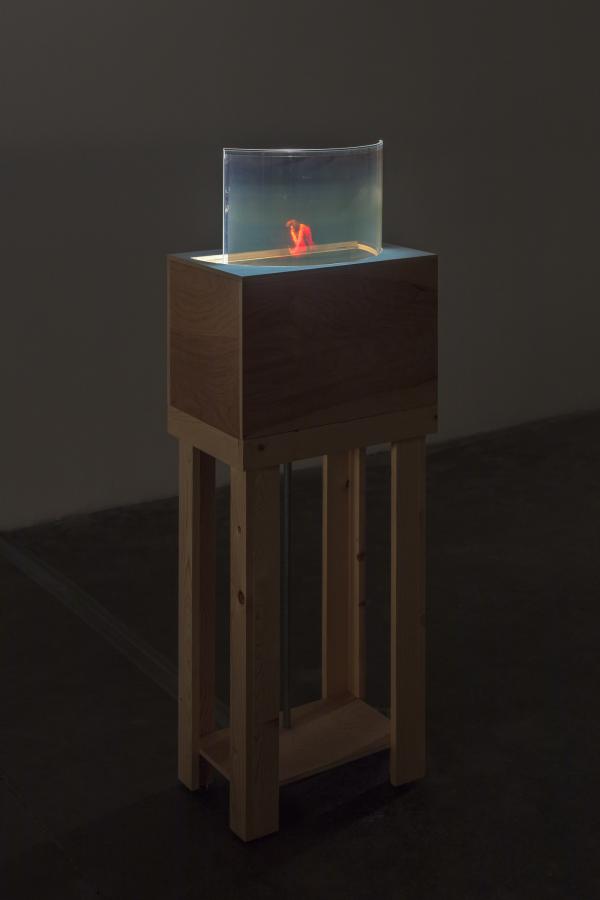 "3D: Double Vision" Highlight | Simone Forti’s "Striding Crawling ...